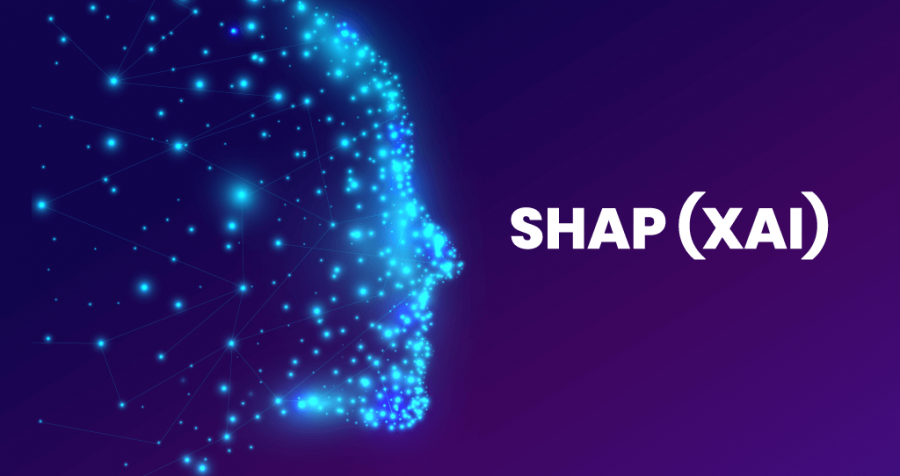 Understanding SHAP(XAI) through LEAPS – Welcome to Analyttica